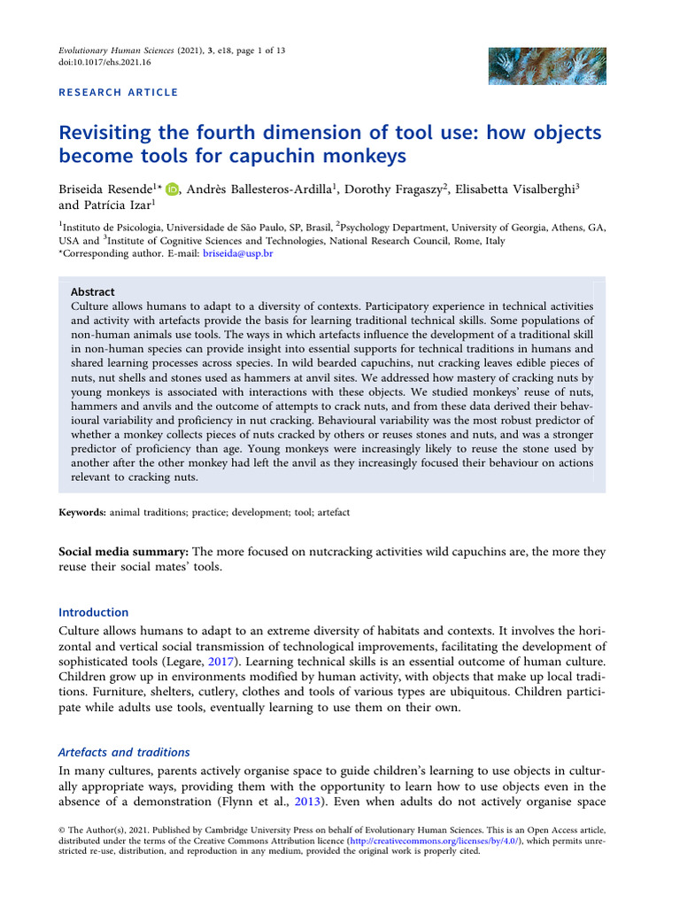 Revisiting The Fourth Dimension of Tool Use How Objects Become Tools For Capuchin Monkeys | PDF