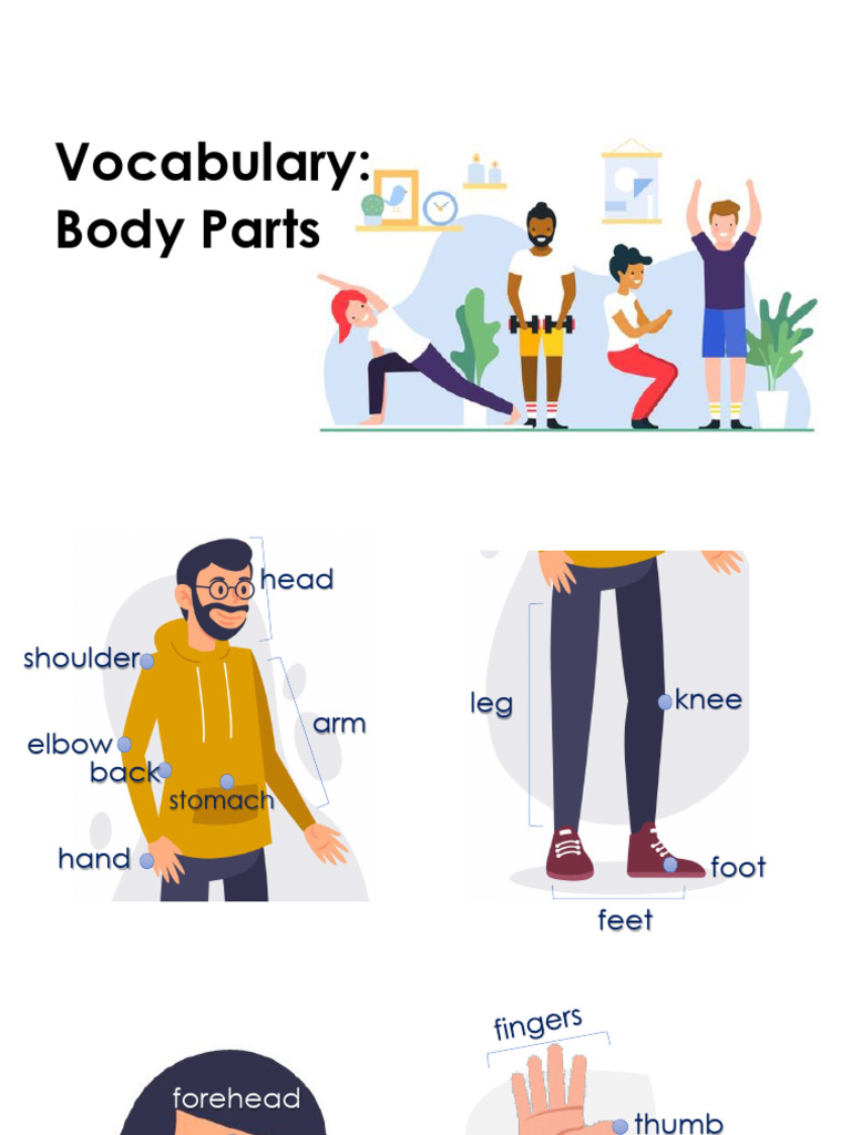 Body Parts Vocabulary - 3RD | PDF
