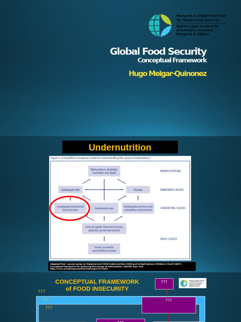 Food Insecurity Conceptual Framework | PDF | Food Security | Malnutrition