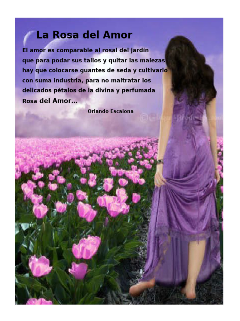 Poema La Rosa Del Amor | PDF