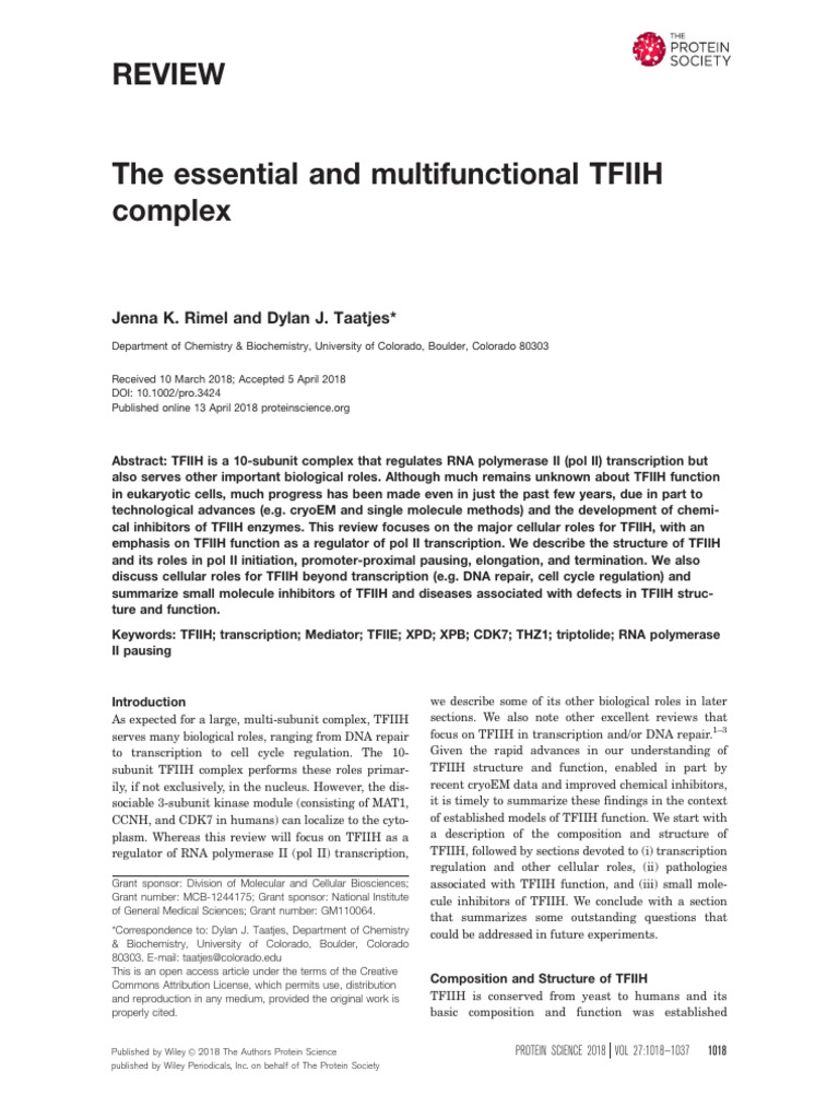 TFIIH AND DNA RAPAIR BY NER | PDF | Life Sciences | Proteins