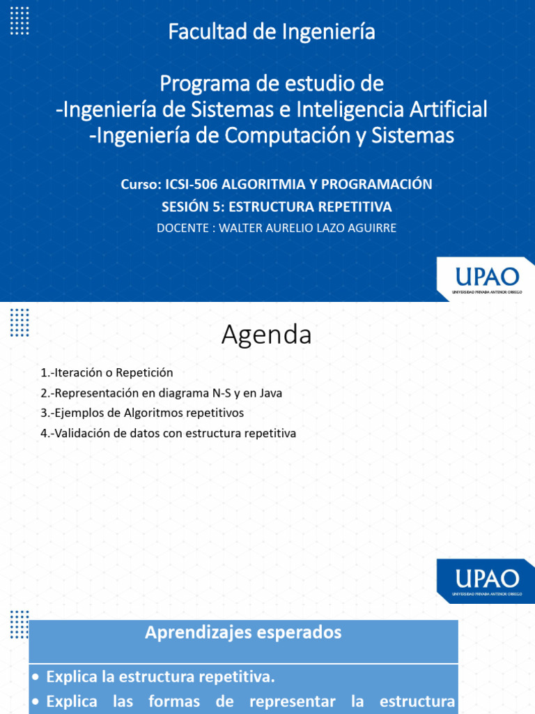 Estructura Repetitiva en Programación Java | PDF | Algoritmos | Flujo de control
