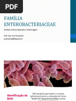 Resumo Bastonetes Gram Negativos Completo | PDF | Salmonella ...