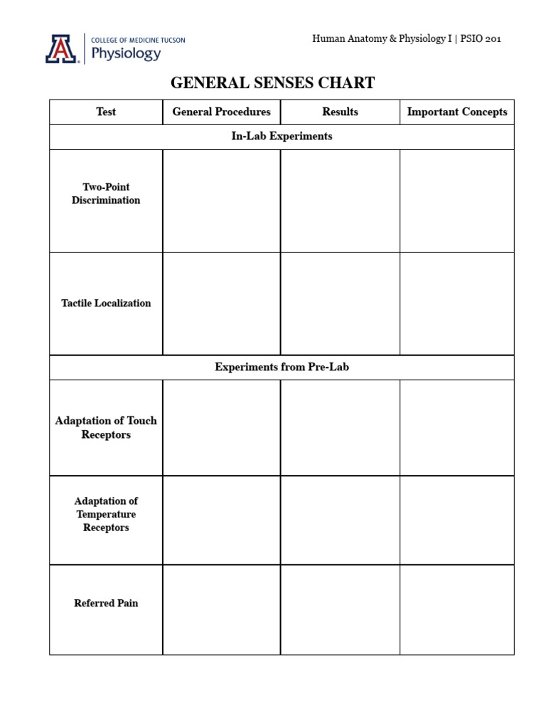 General Senses Chart | PDF