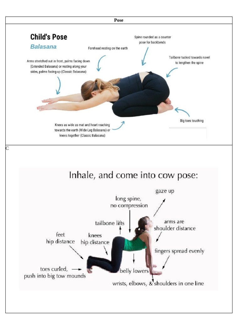 Pose | PDF