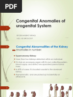 Urology Medical Terminology | PDF | Urinary System | Kidney