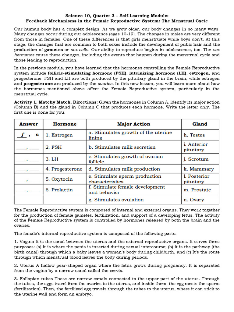 Science 10 Feedback Mechanisms in The Female Reproductive System | PDF ...