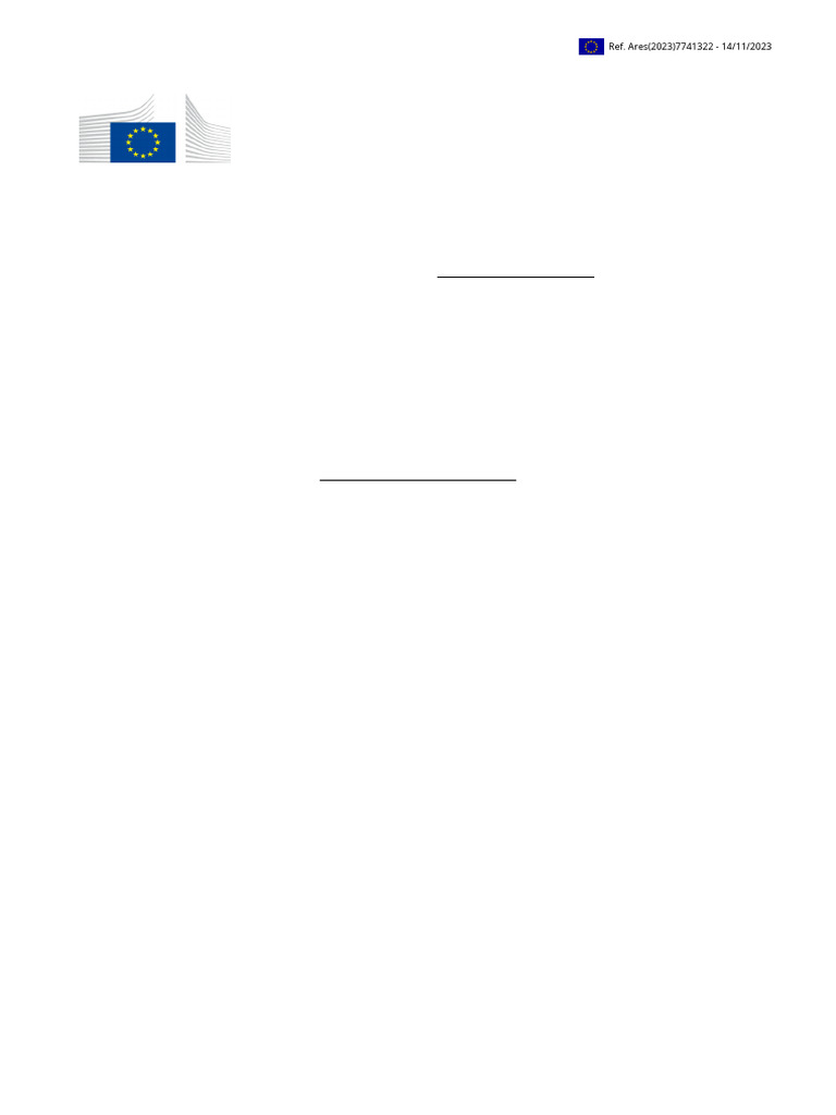 EN - EORI Guidance Document | PDF | Customs | Identity Document