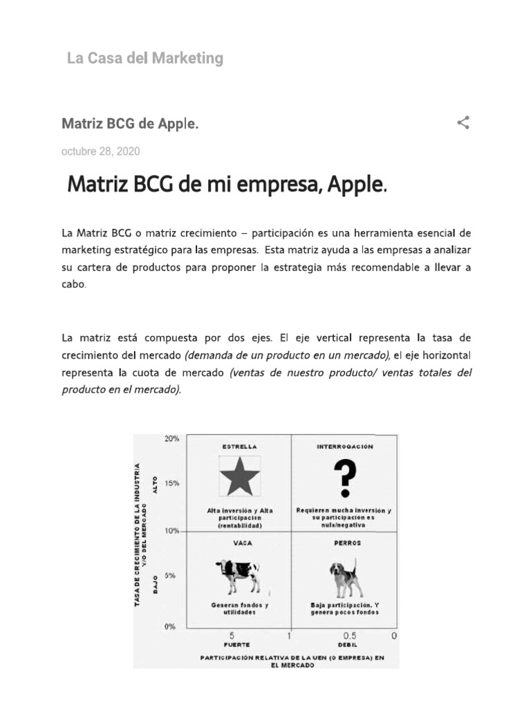 Matrix BCG | PDF