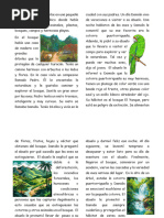 Simbolos Patrios de Puerto Rico | PDF | Naturaleza