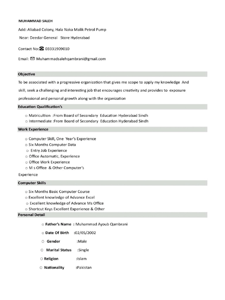 CV Muhammad Saleh | PDF