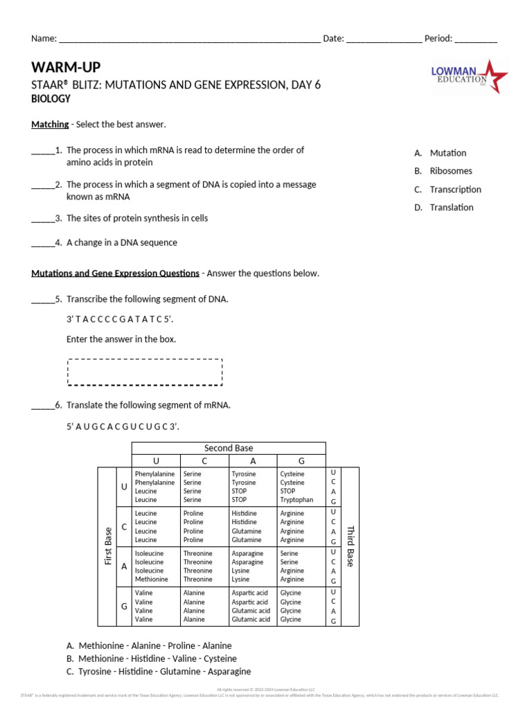 Day 6. Warm Up. STAARr Blitz. Science. Biology | PDF | Structural ...