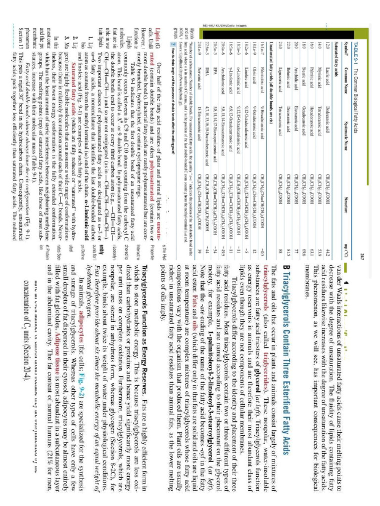 Biochem-Lipids | PDF
