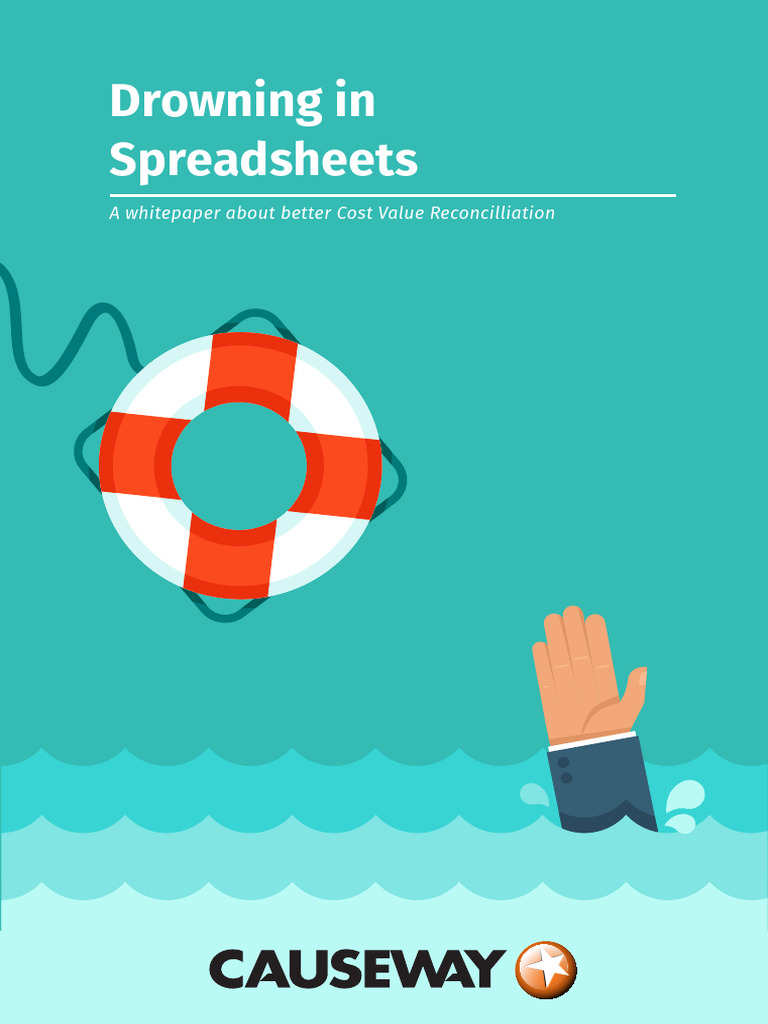 Drowning in Spreadsheets | PDF | Economies | Business