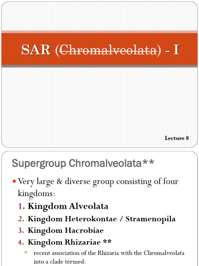 Lecture 8 2021 - Supergroup SAR I | PDF | Organisms | Eukaryotes