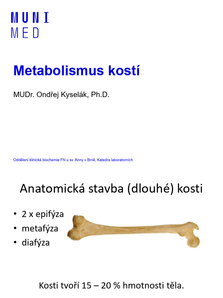 Metabolismus Kosti | PDF