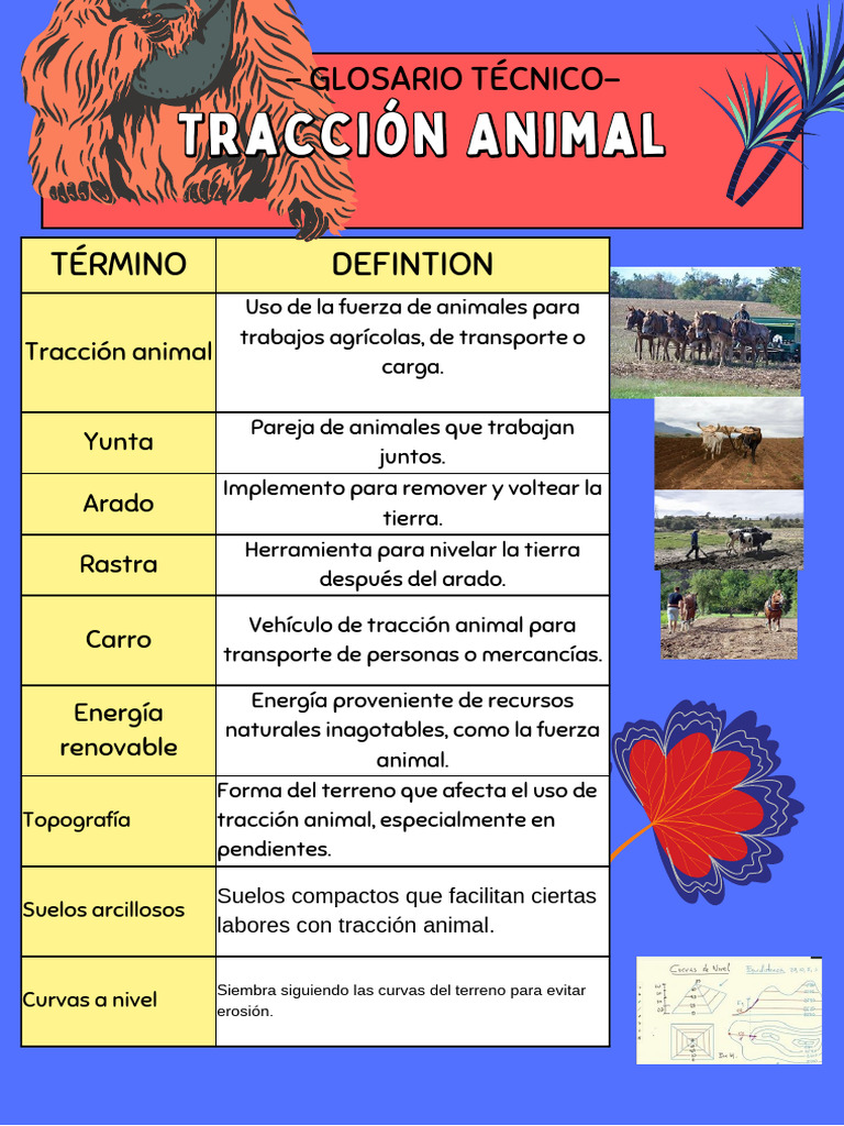 Conducting Chance Experiments Glossary Mathematics Poster in Pink, Blue ...