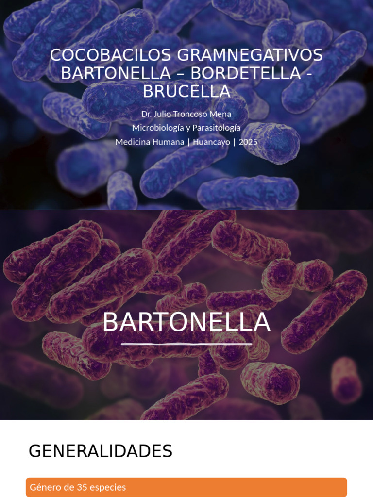 Semana 5 - Cocobacilos Gramnegativos - Bartonella, Bordetella, Brucella | PDF | Especialidades ...
