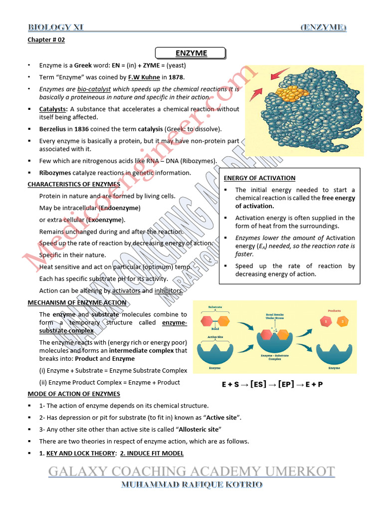Enzymes Keypoints New STB | PDF | Enzyme | Enzyme Inhibitor