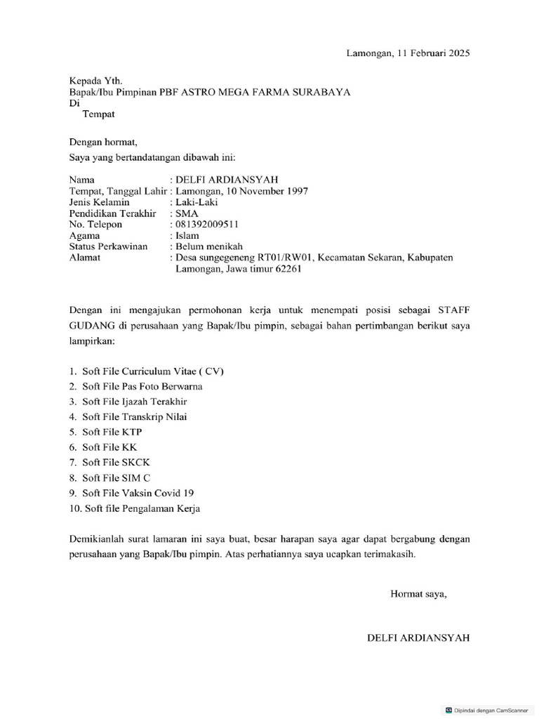 CV Delfi Ardiansyah | PDF