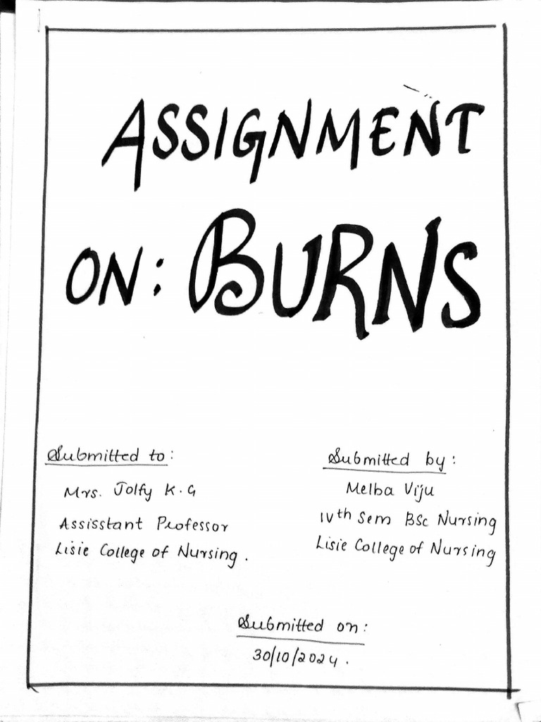 Burns | PDF