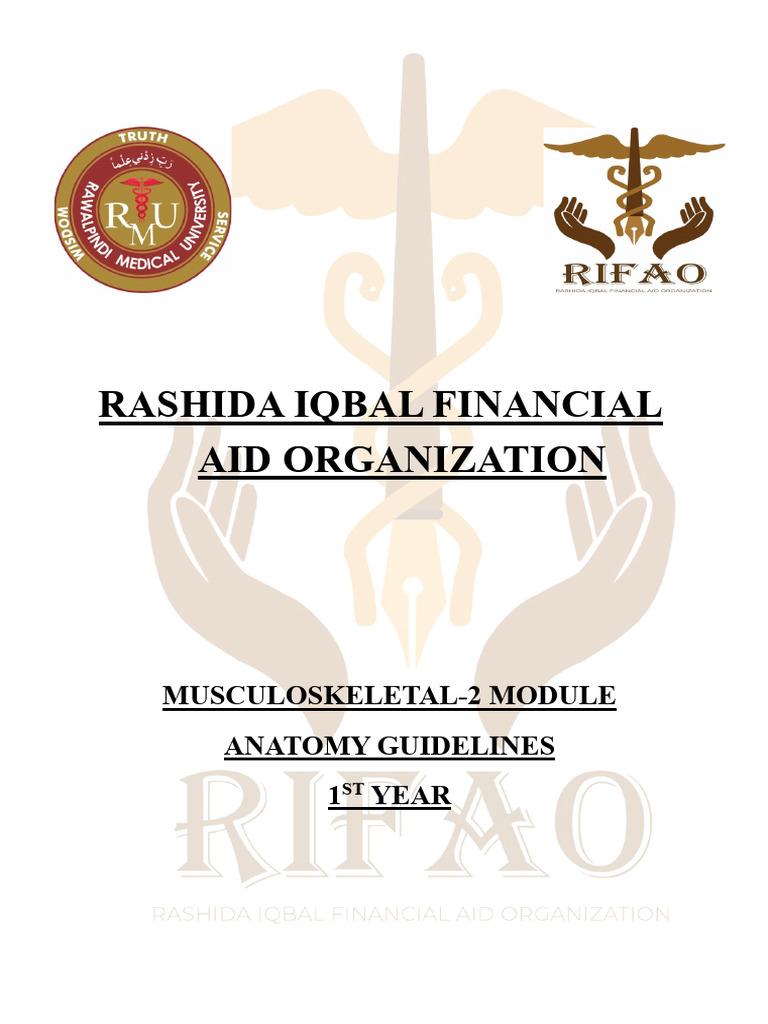 Anatomy MSK 2 Guidelines | PDF | Human Leg | Lower Limb Anatomy