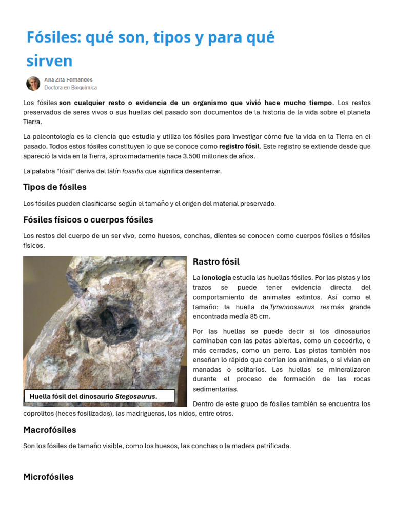 Tipos y formación de fósiles en paleontología | PDF | Fósil | Paleontología
