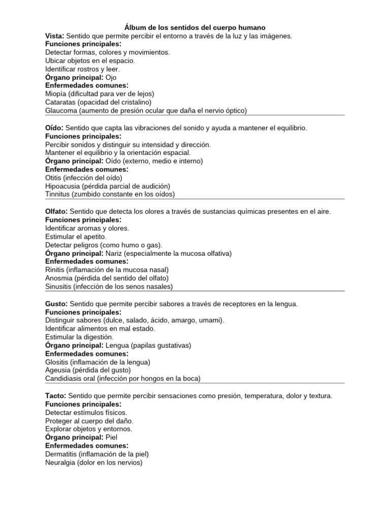 Álbum de los sentidos y sistemas del cuerpo | PDF | Sentidos | Alimentos