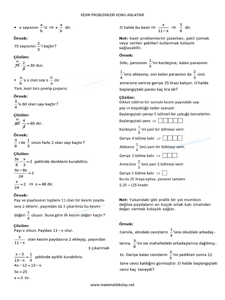 Kesir Problemleri Konu Anlatımı | PDF