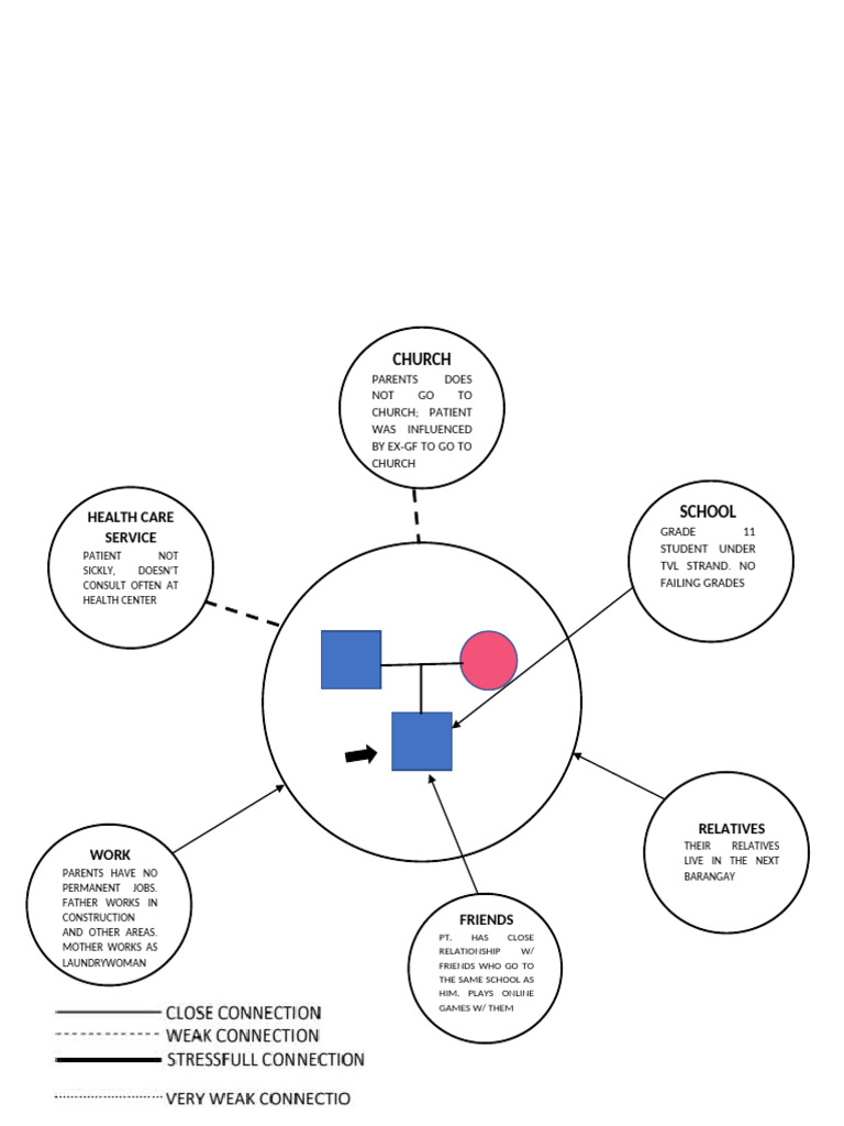 ECOMAP Example | PDF