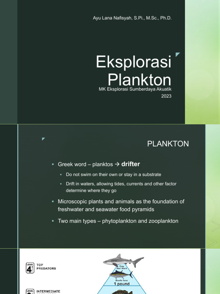 Eksplorasi SDA Materi ALN (2023) | PDF | Phytoplankton | Plankton