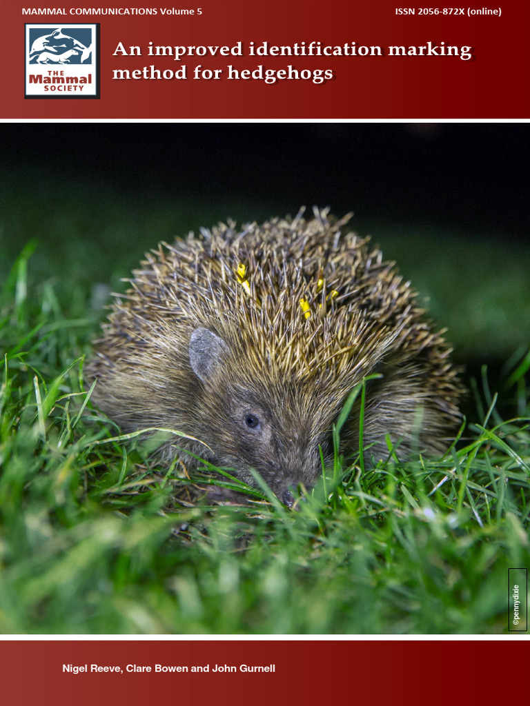 An Improved Identification Marking Metho | PDF