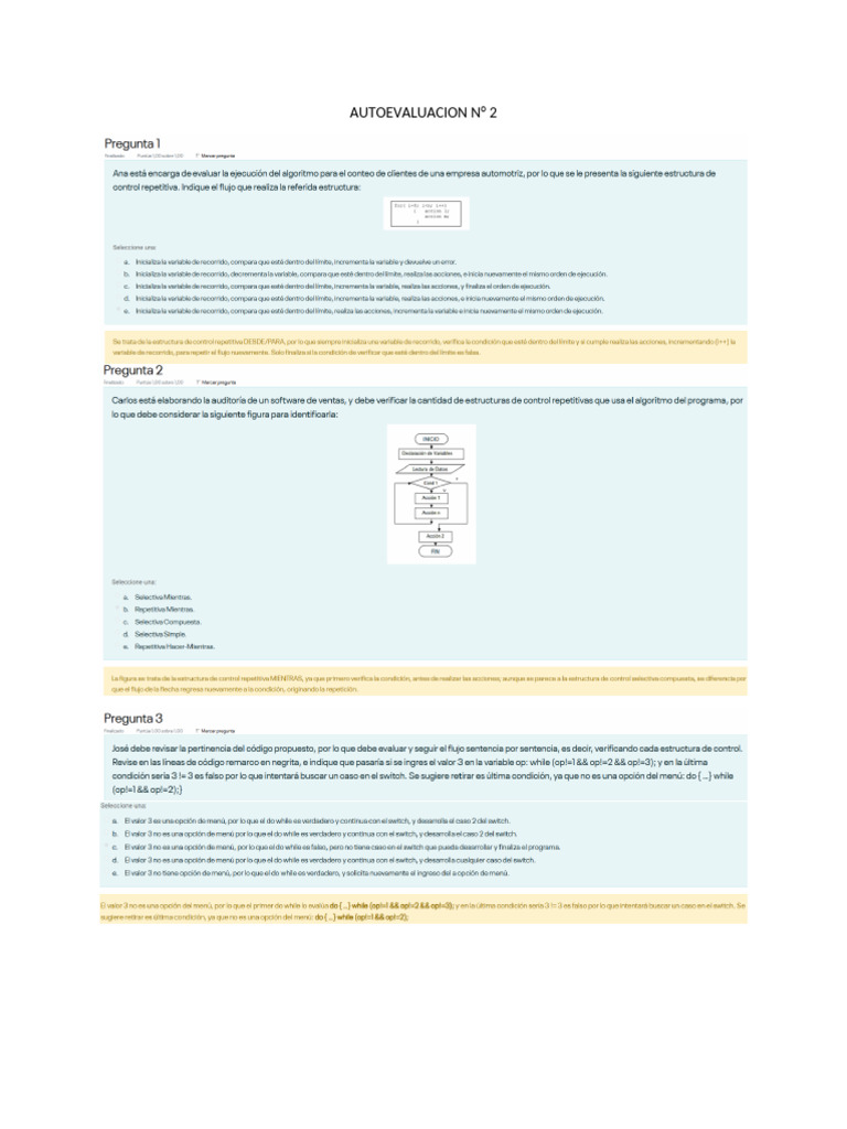 AUTOEVALUACION N2 Fundamentos de Programacion | PDF