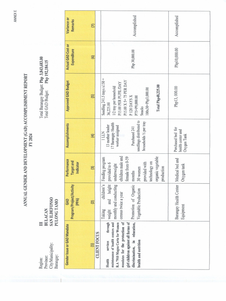 2024 GAD Accomplishment | PDF