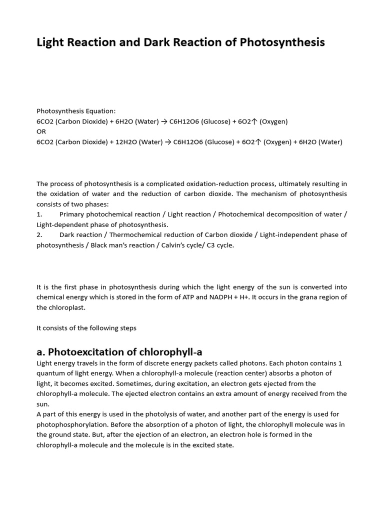 Dark and Light Reaction of Photosynthesis | PDF | Photosynthesis ...