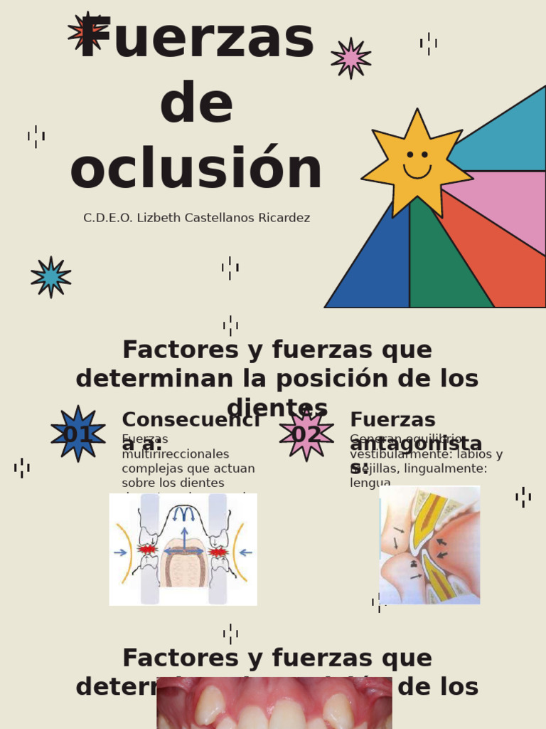 13 Fuerzas De Oclusión Pdf Diente Odontología