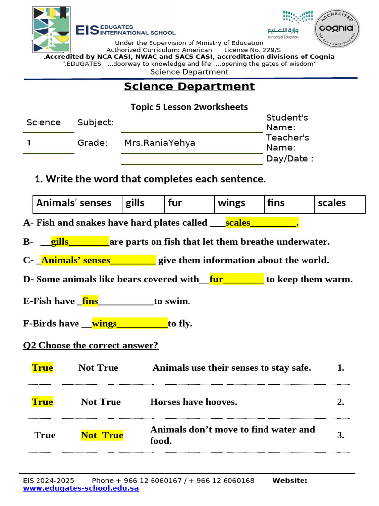 L5-2 Gade 1 Worksheet -A.K | PDF