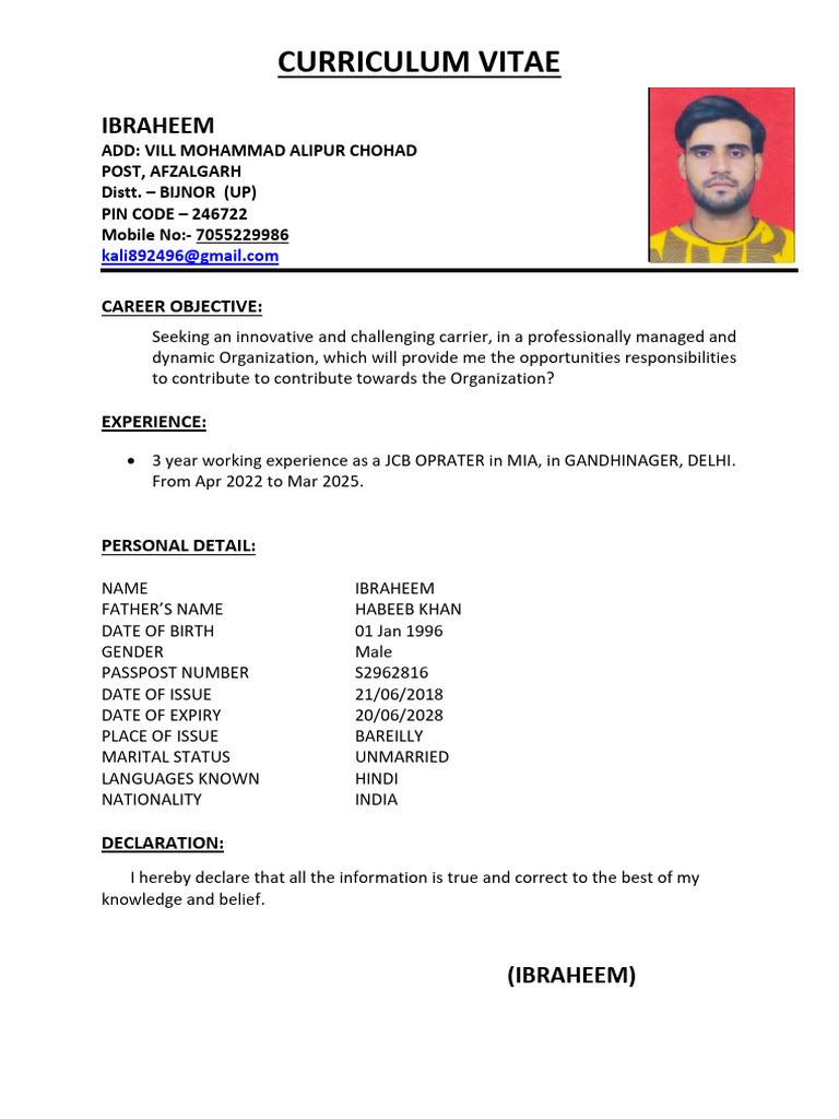 Ibrahim CV | PDF