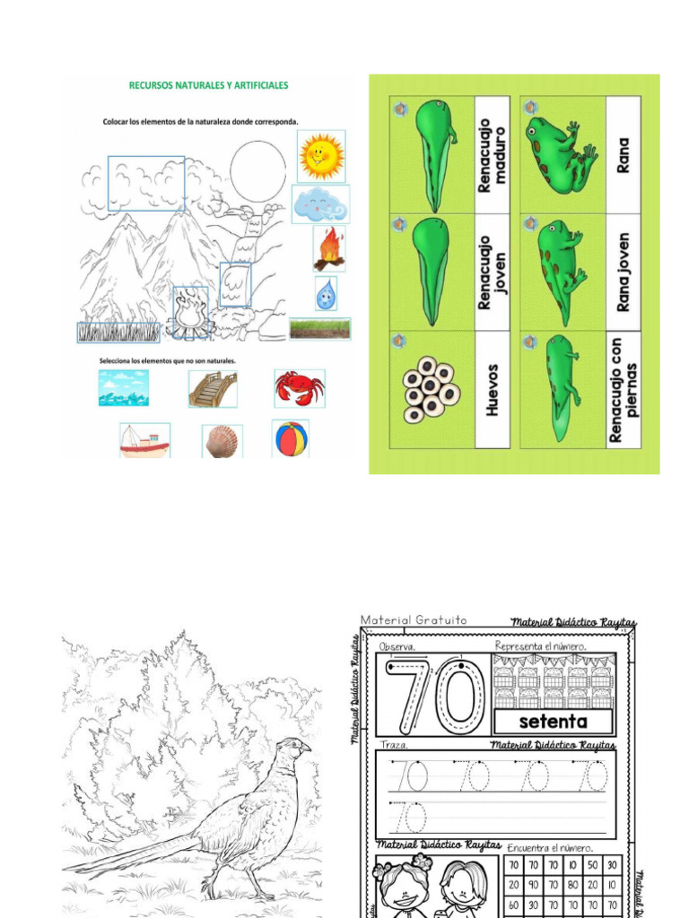 Imprimir Transicion | PDF