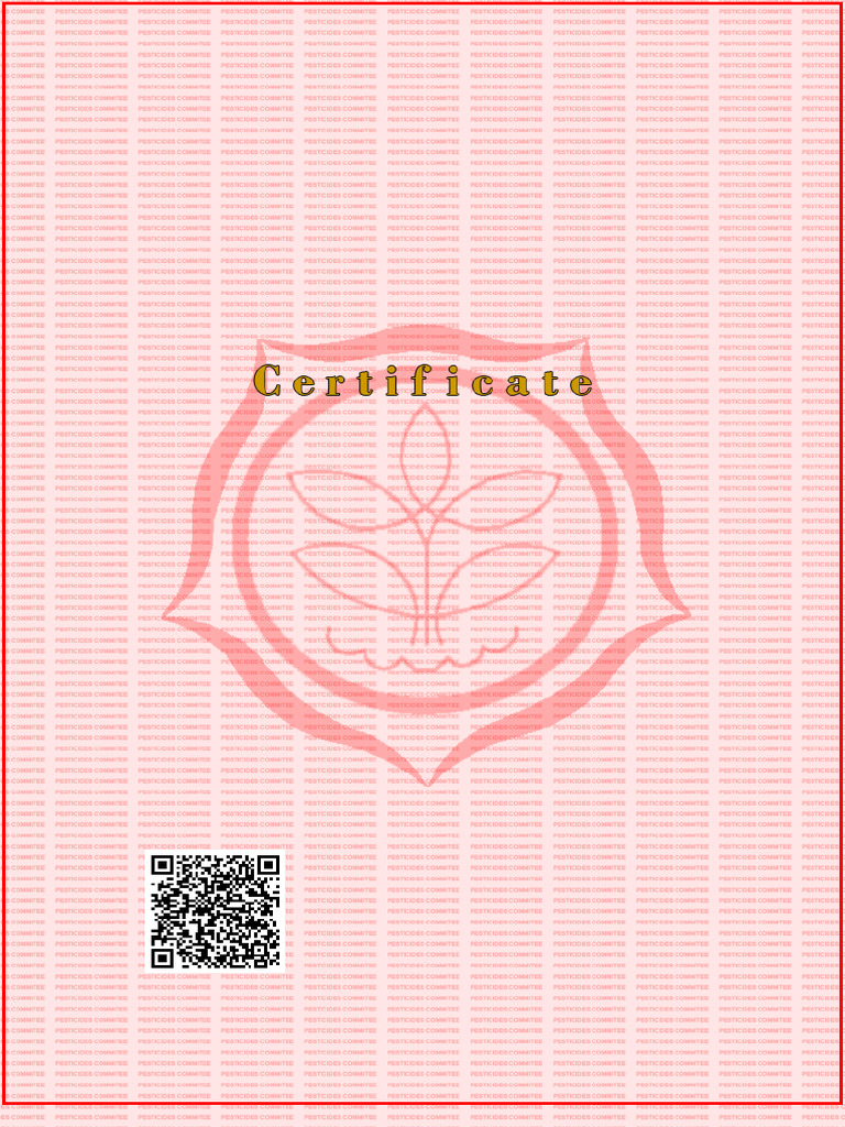 Kompes SMASH 100 EC 2019 - 2024 | PDF