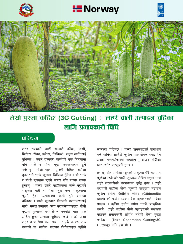 3g Cutting Design Final | PDF