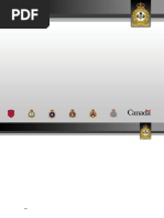 AAFC Badges of Rank | PDF