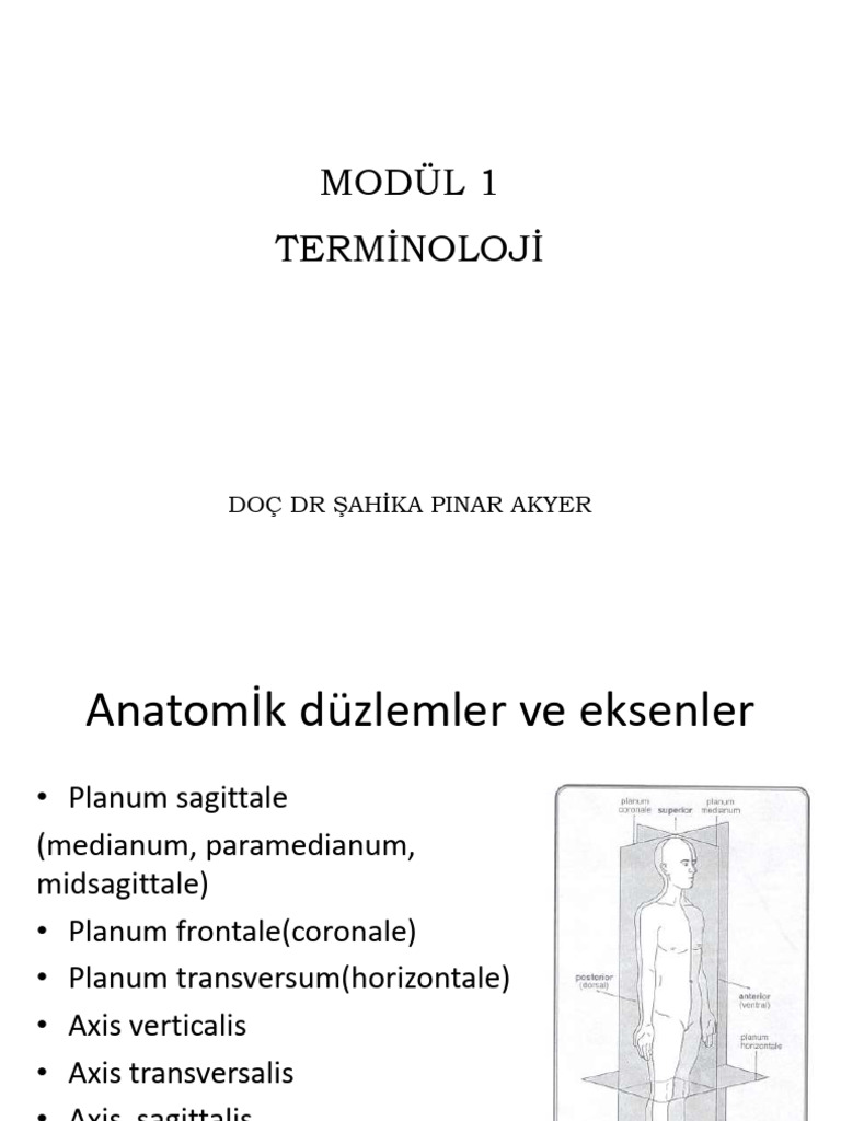 D1 M1 Termi̇noloji̇ | PDF