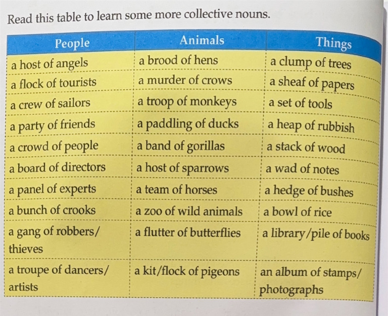 Collective Noun Table | PDF