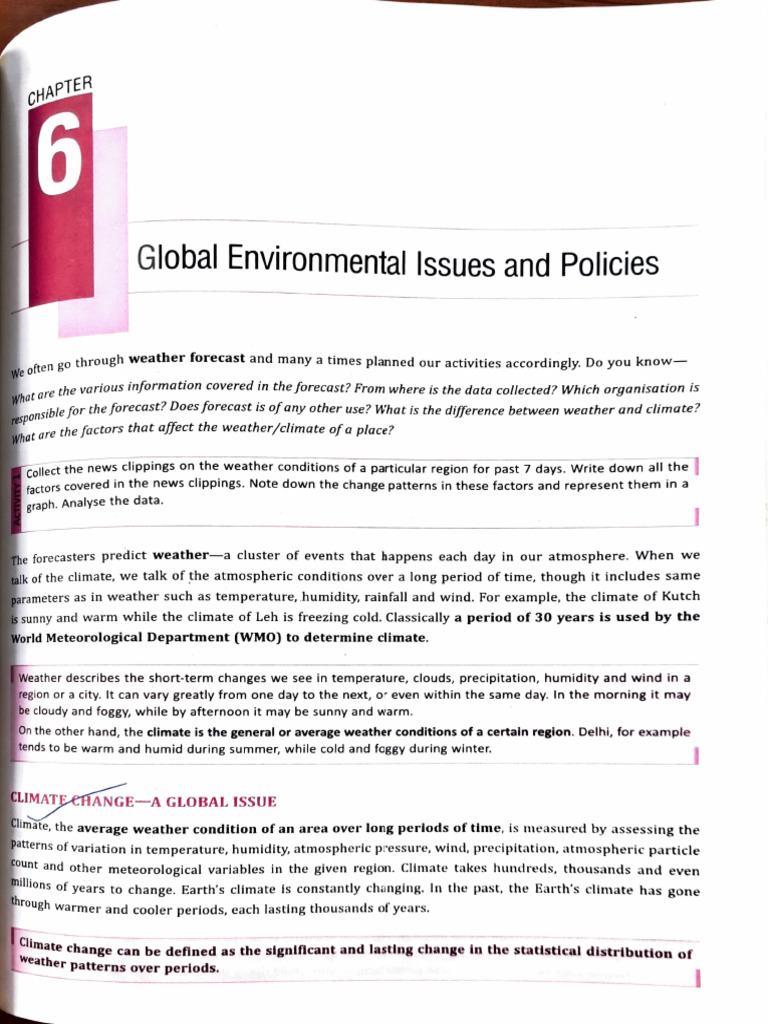 Global Environment Issues | PDF