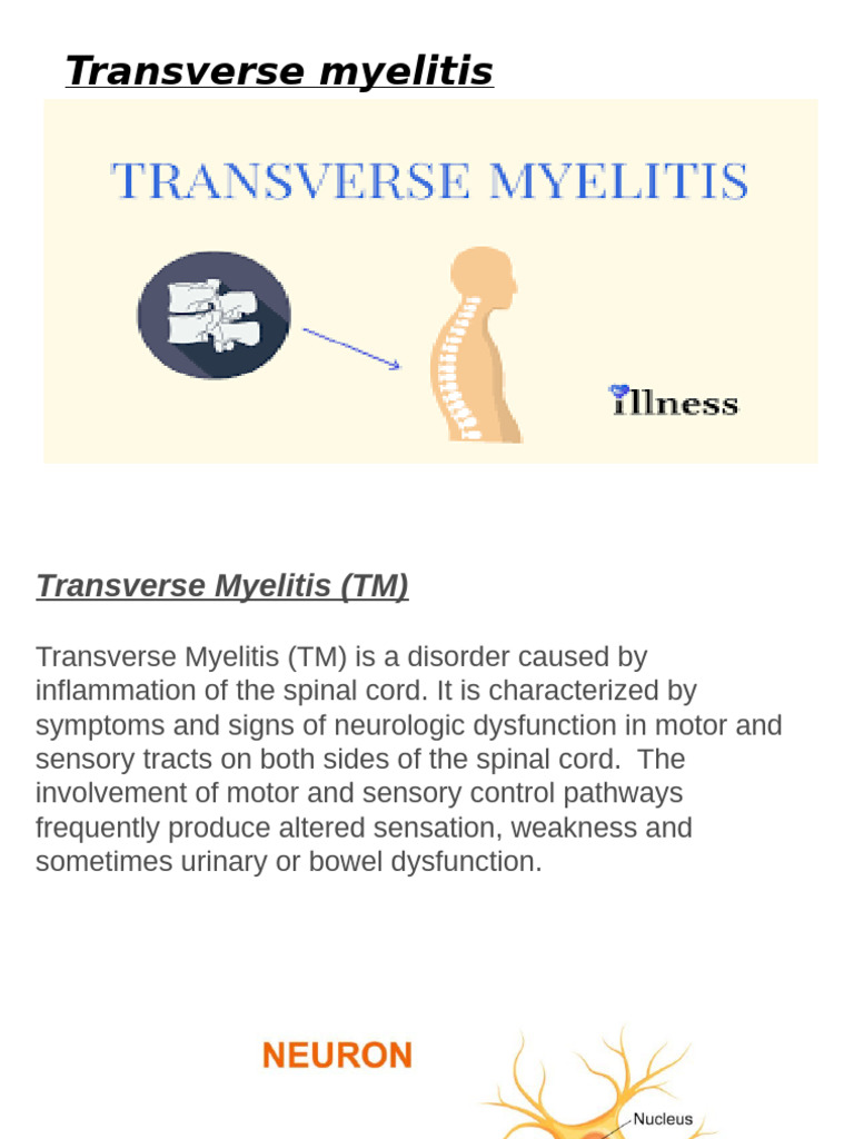 Understanding Transverse Myelitis Symptoms | PDF | Cerebrospinal Fluid ...