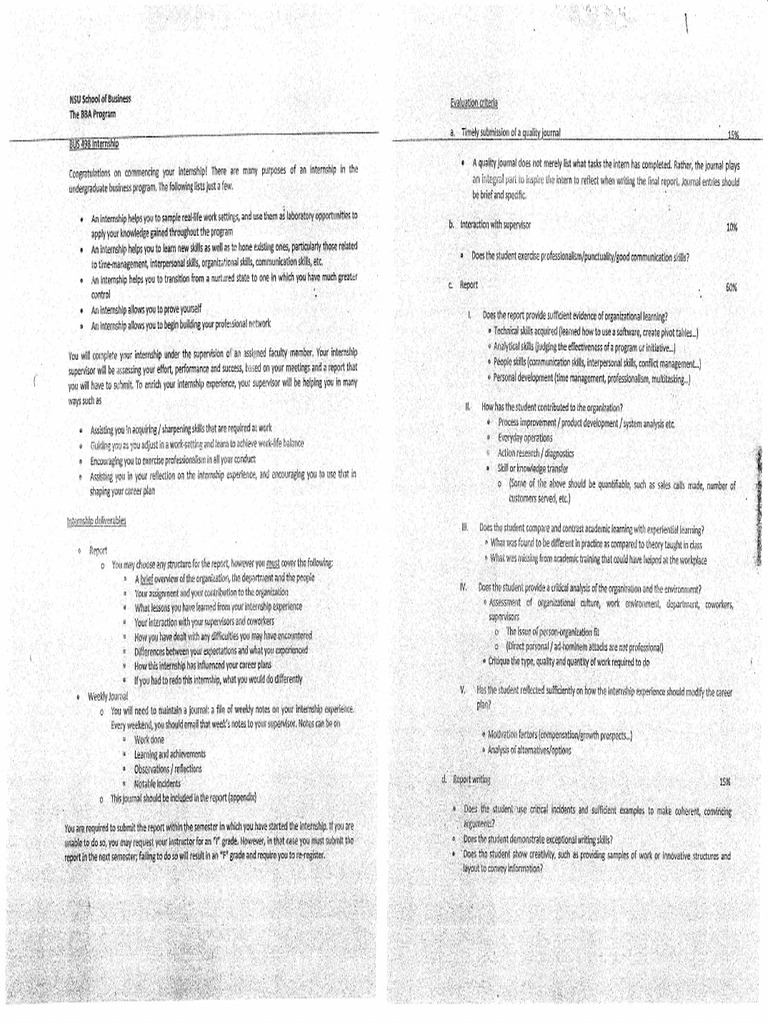 BUS 498 Instructions | PDF