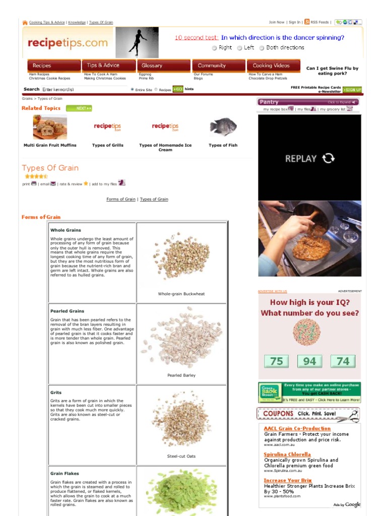 Types of Grains | PDF