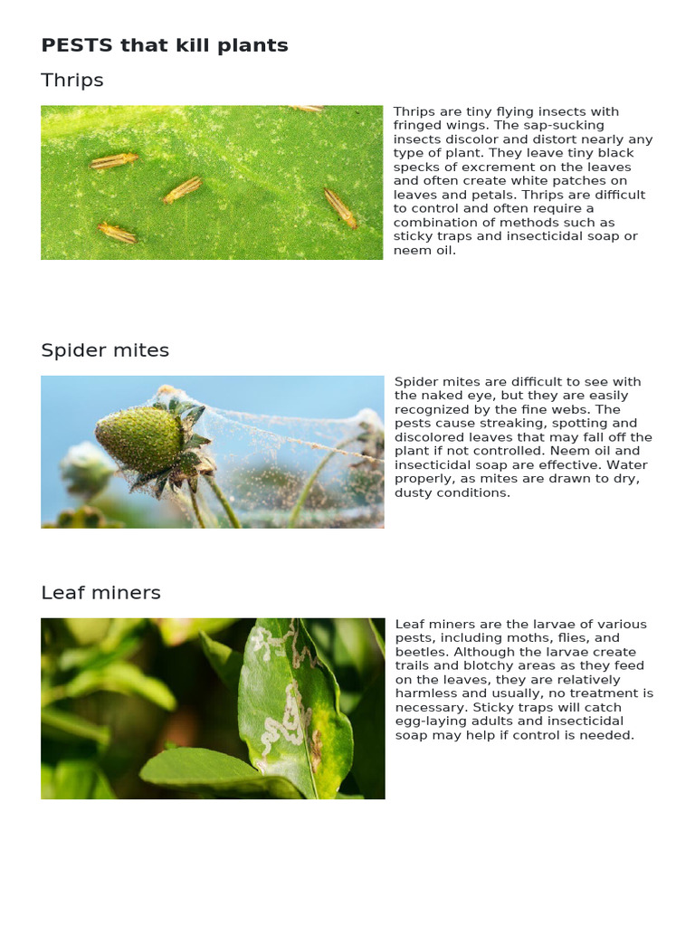 PESTS That Kill Plants | PDF