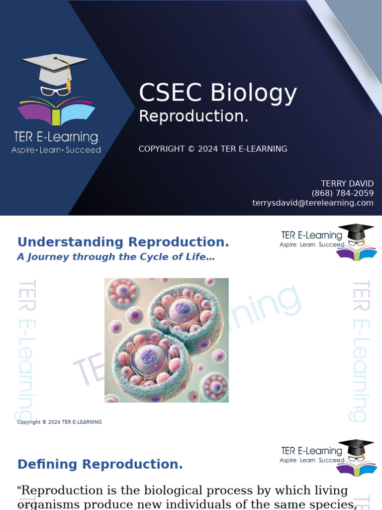 Reproduction Part 1 Pdf Menstrual Cycle Reproduction